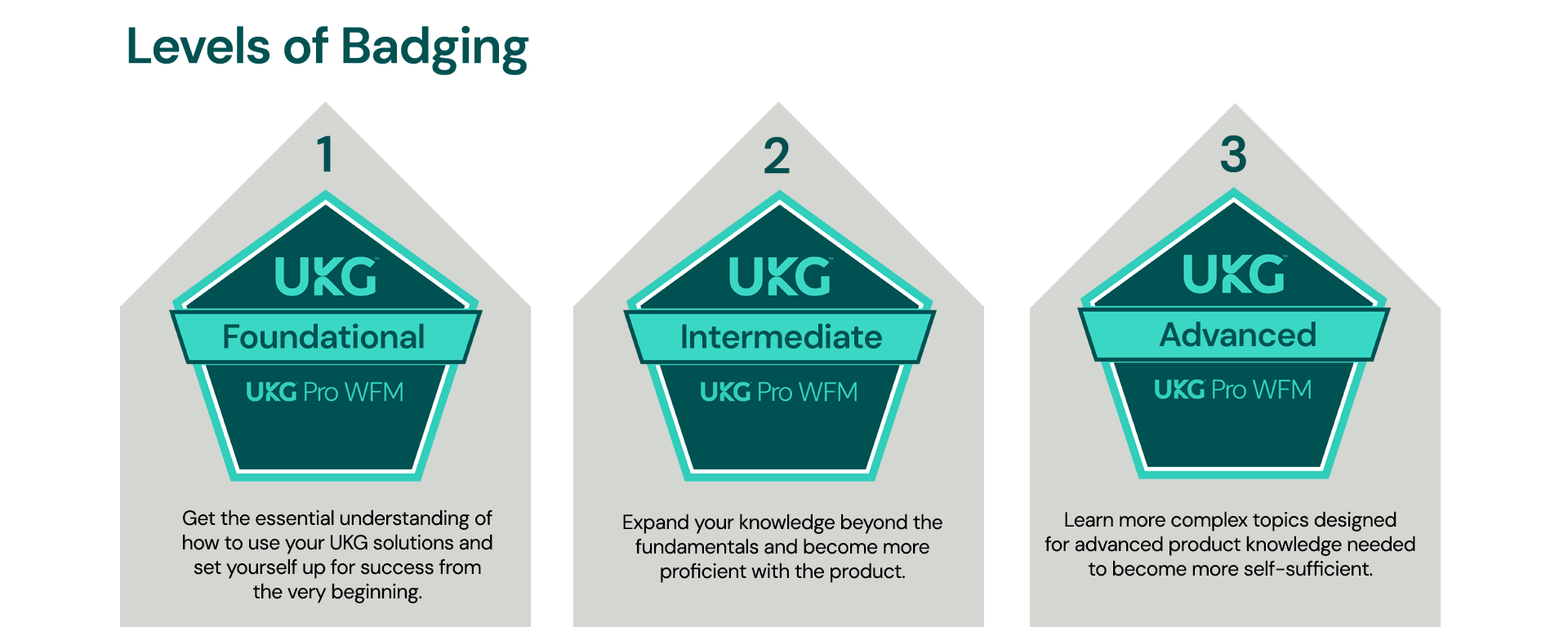 Pro WFM Training Overiew